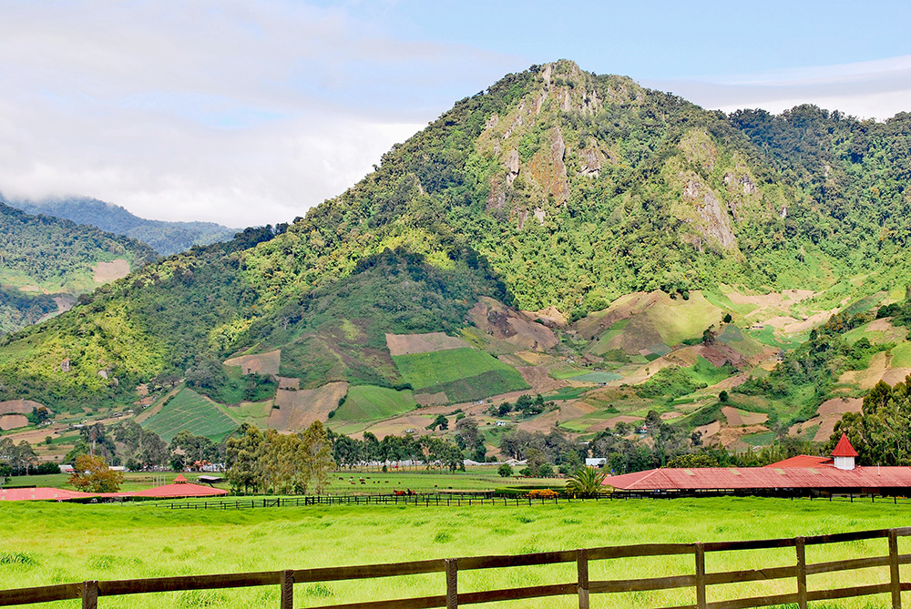 David Panama - Tours in David Panama Enjoy Panama