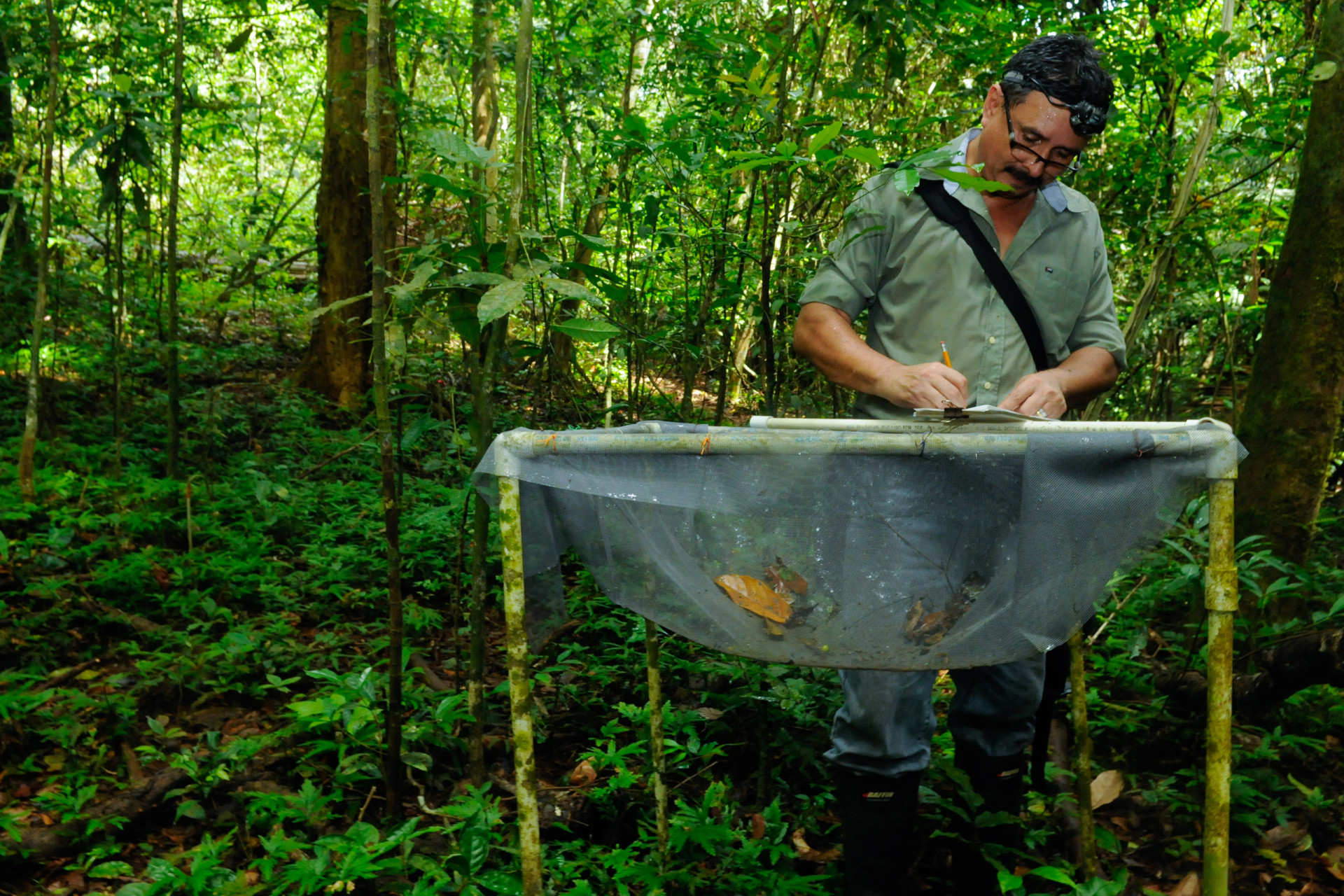 Barro Colorado Natural Monument - Enjoy Panama