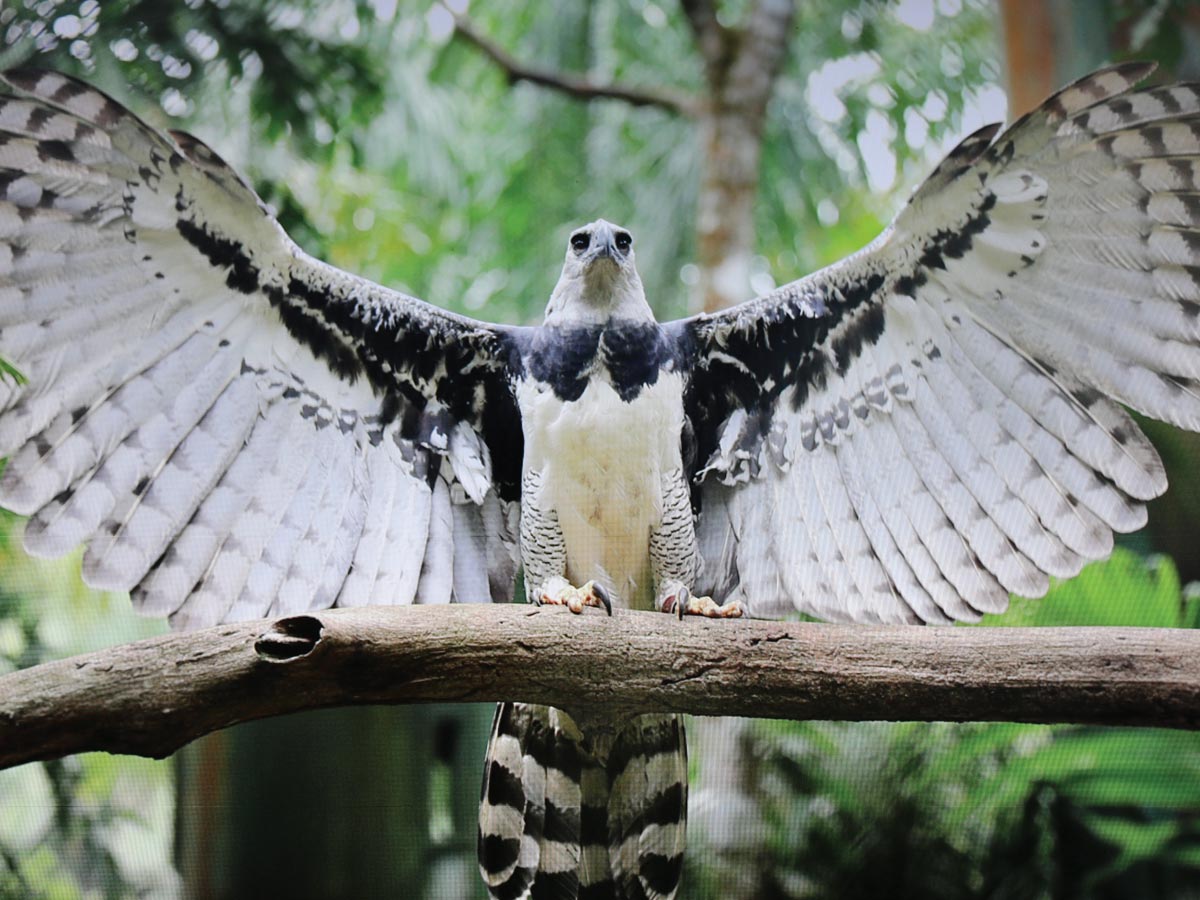 Summit Botanical Garden - Enjoy Panama